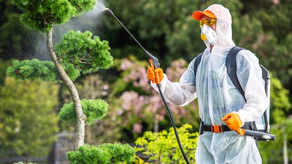 Objetivo: salvar las plantas del jardín. 5 consejos que evitan la ...